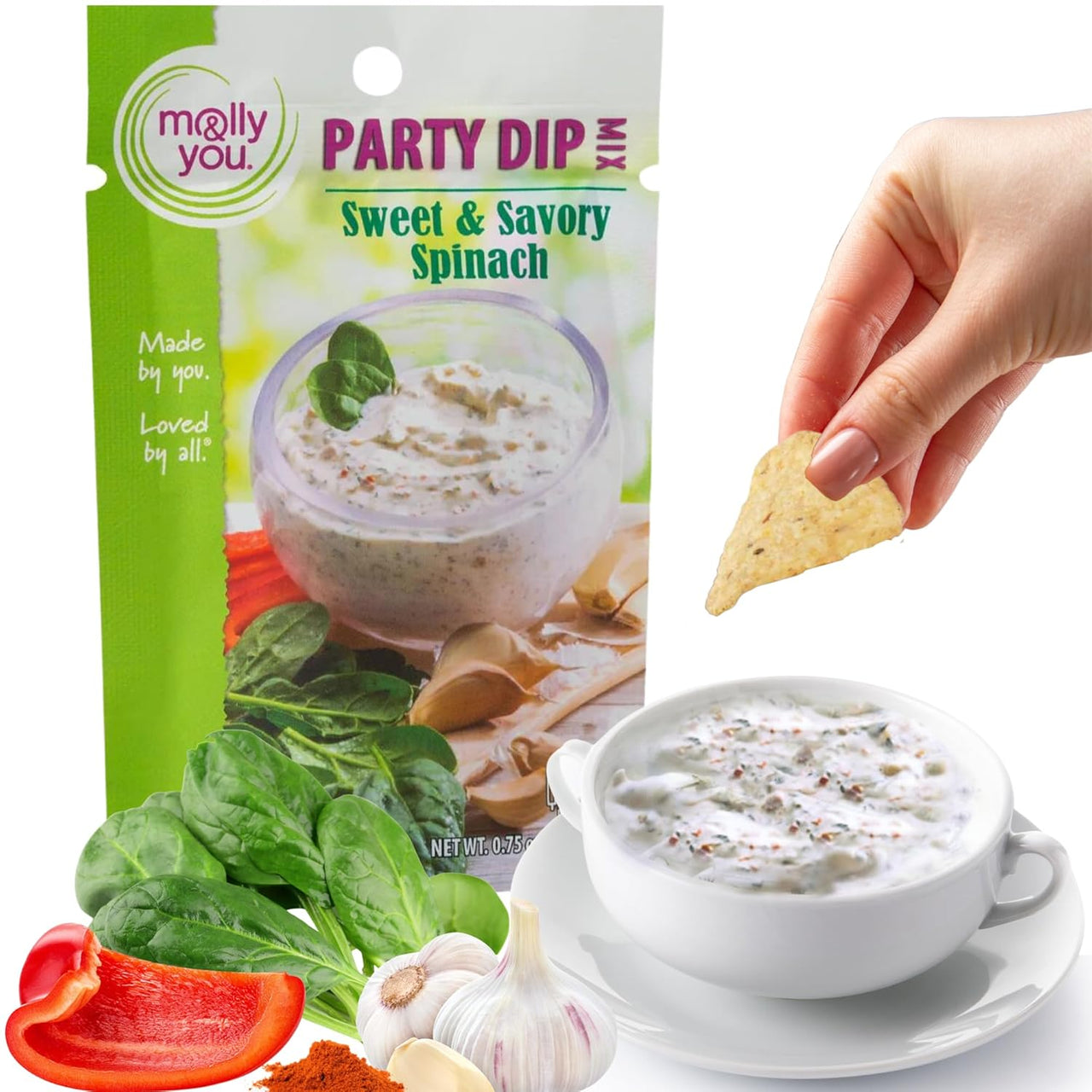 Party Dip Mixes – molly&you